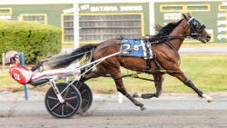 Fast Choice, Smooth Dream lead Winbak stars in G2 Milstein – U.S ...