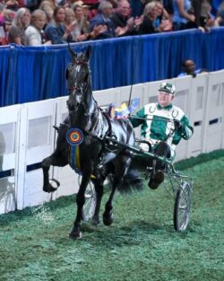 Standardbreds at World’s Championship Horse Show – U.S. Trotting News
