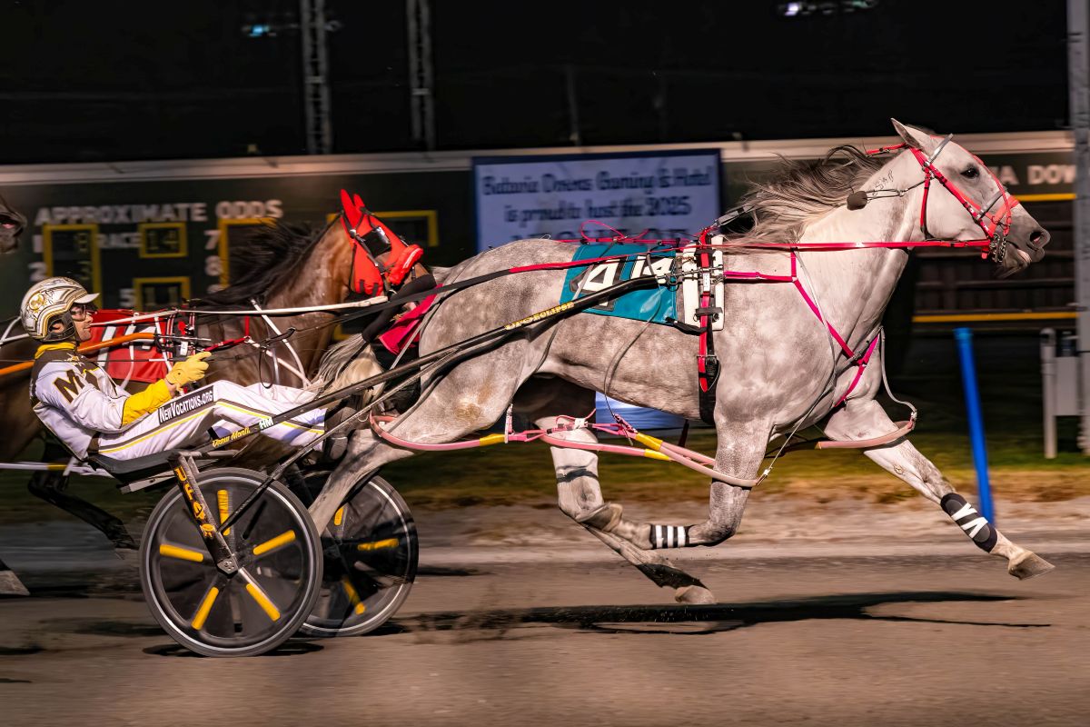 Rightfully Mine upsets in Batavia distaff Open – U.S. Trotting News