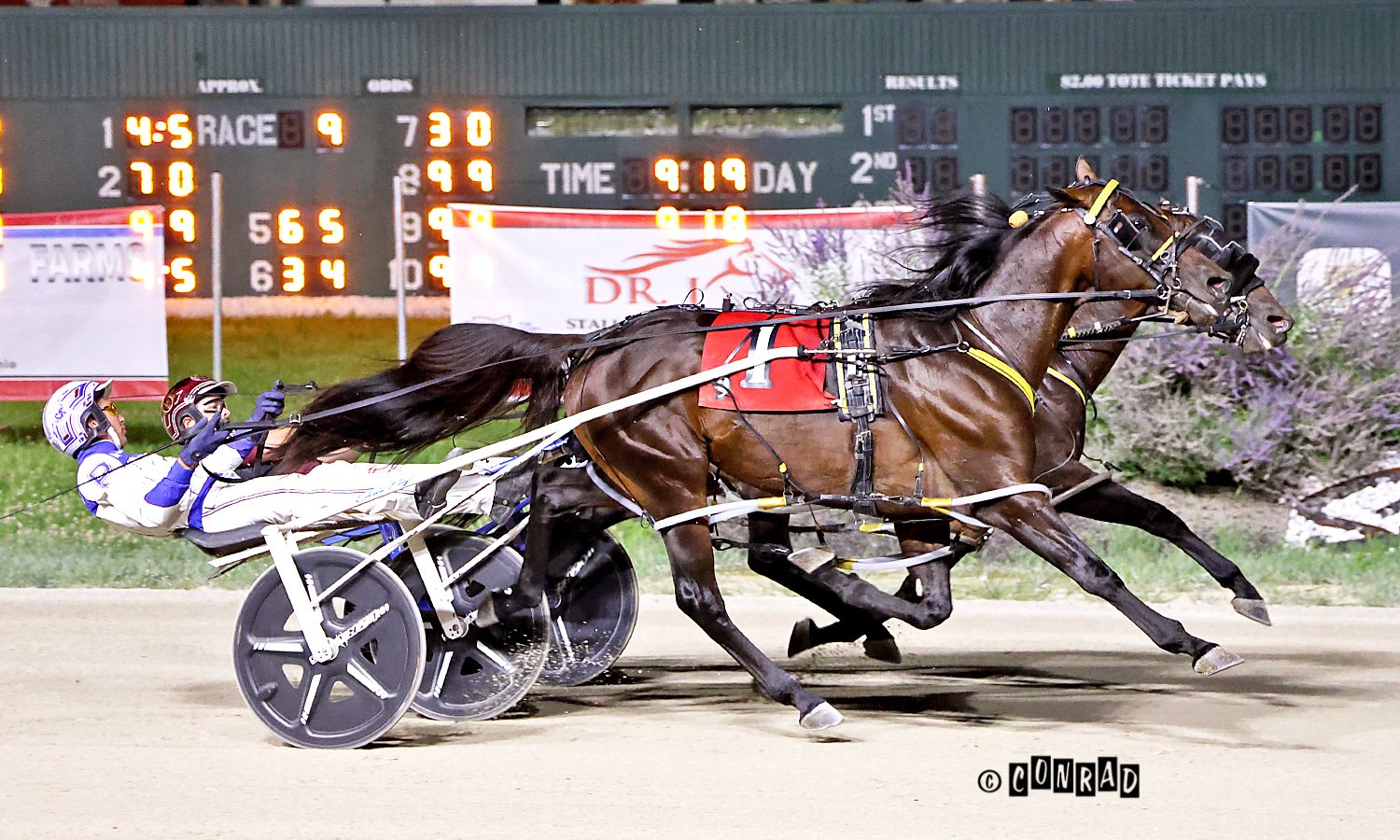 Swingtown edges stablemate in Director of Agriculture at Scioto Downs ...