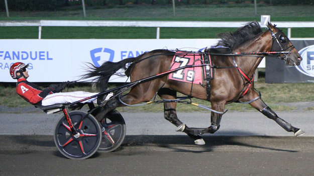 ‘Christopher’ dances past foes at Big M – U.S. Trotting News