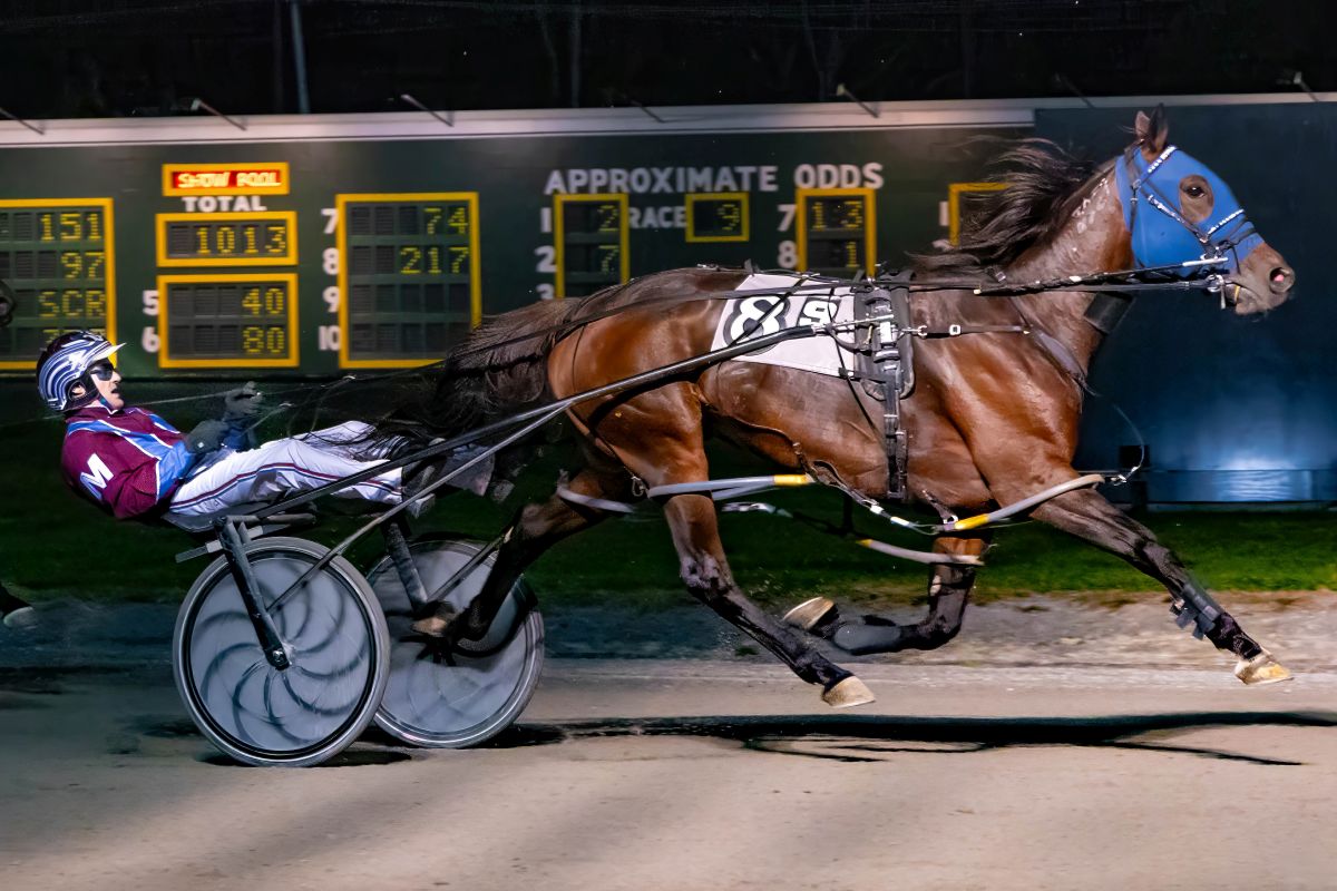 Delta Three N remains peerless at Batavia Downs – U.S. Trotting News