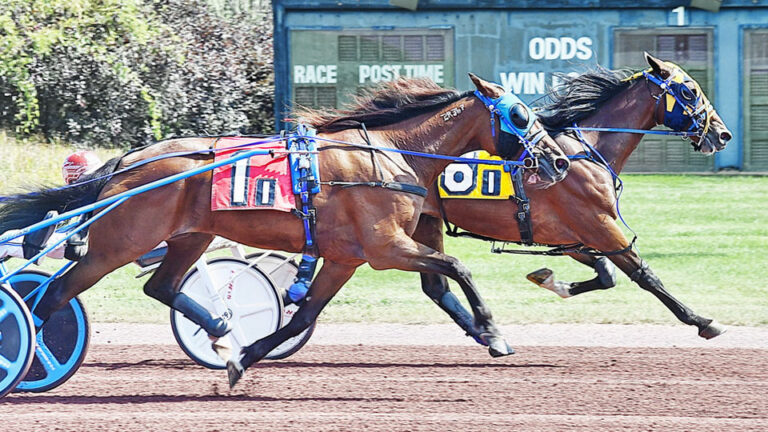 Quick trotters, long shots top Tuesday Pocono card – U.S. Trotting News