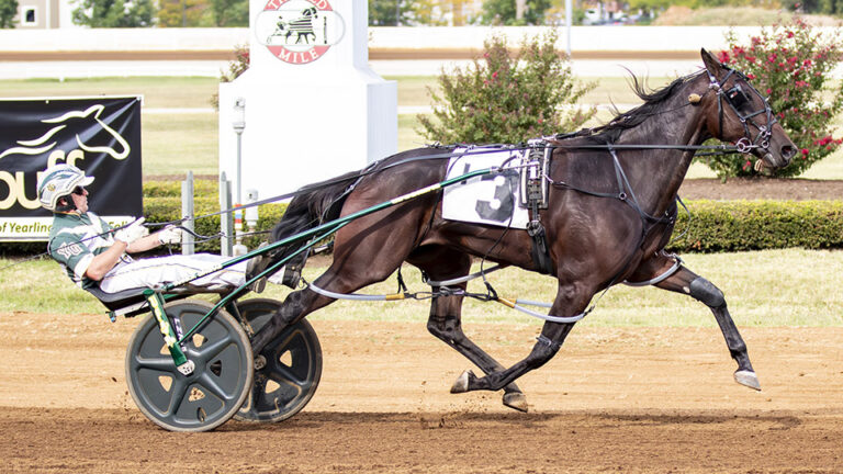 Boots N Beer leads upset parade in Golden Rod finals – U.S. Trotting News