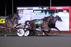 Miki And Minnie, The Last Martini dead-heat in Breeders Crown Filly ...