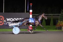 Brandon Blvd sets track & Canadian record in BC elim, Beau Jangles ...