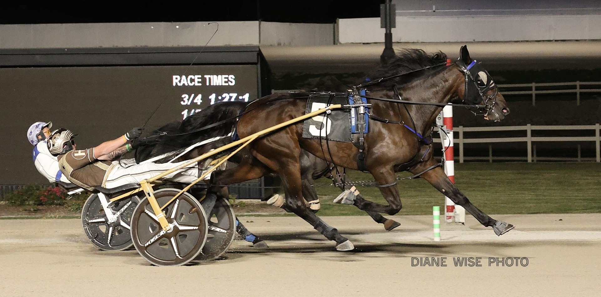 Travel Nurse earns repeat title, Luke Hanners scores 1,000th win to ...