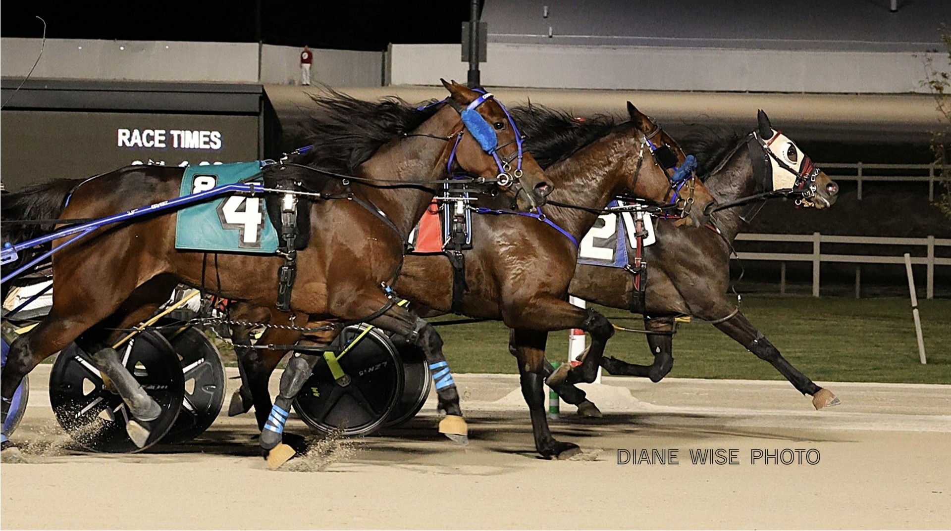 Cally L scores upset win to highlight Ohio Fairs Championships for ...
