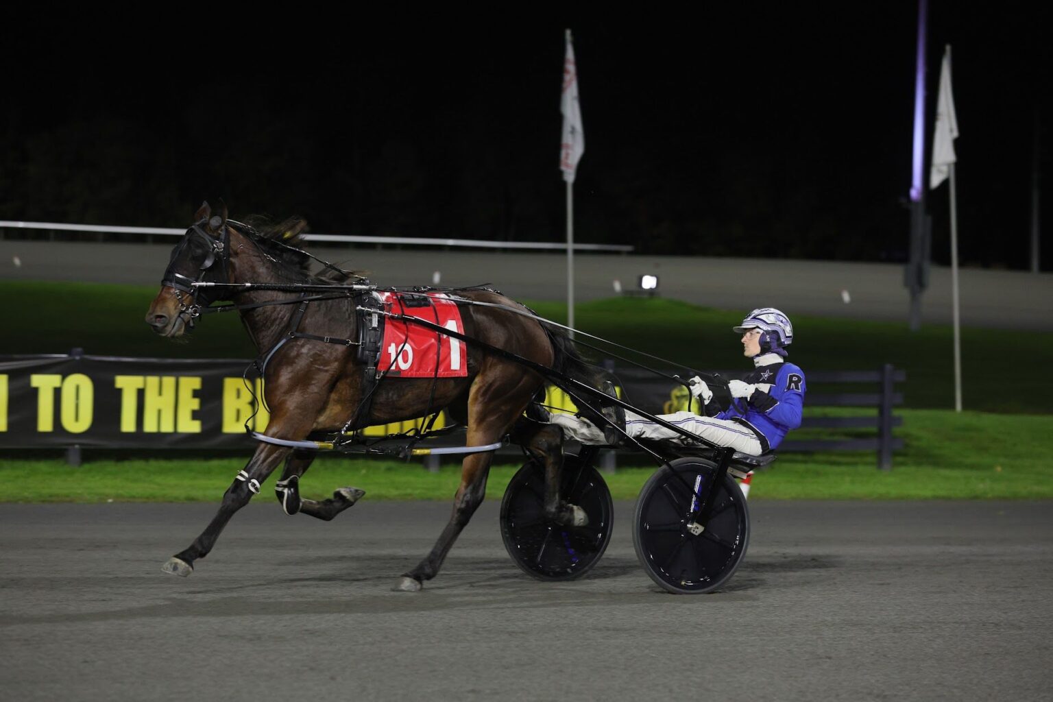 All in the family: Miller, Ryder set for Breeders Crown moments – U.S ...