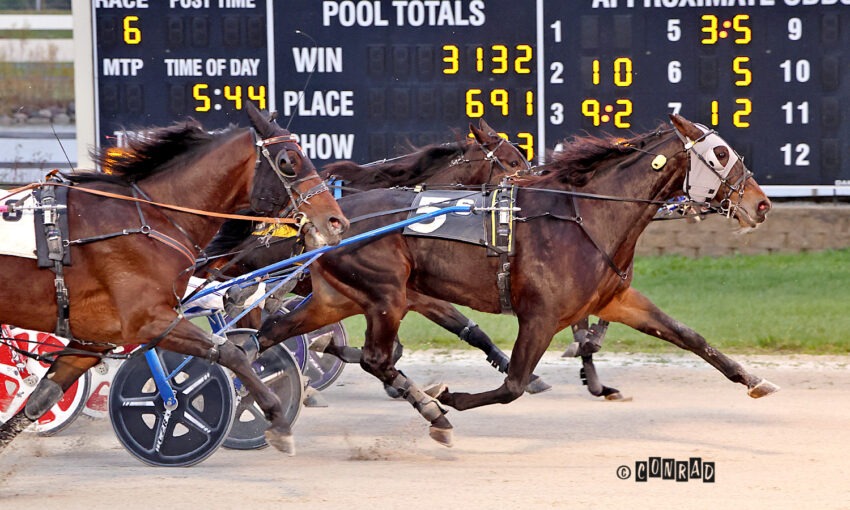Prince Of Honor takes Open Trot at Dayton – U.S. Trotting News