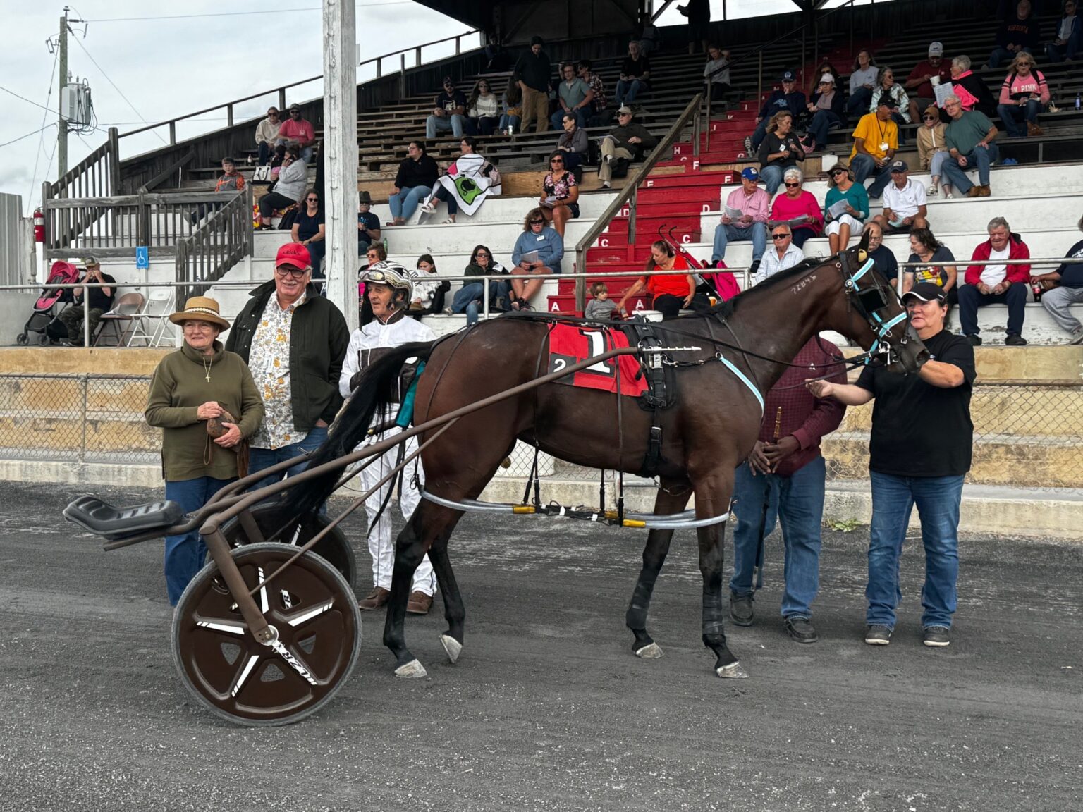 Caviart Daisy dazzles in Virginia Breeders at Shenandoah – U.S. Trotting News