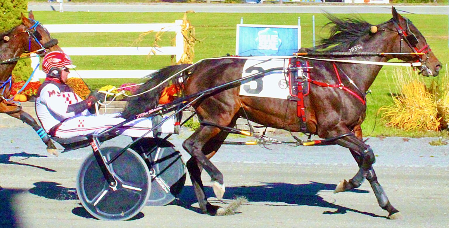 Grand slam for Sowers at Bangor – U.S. Trotting News