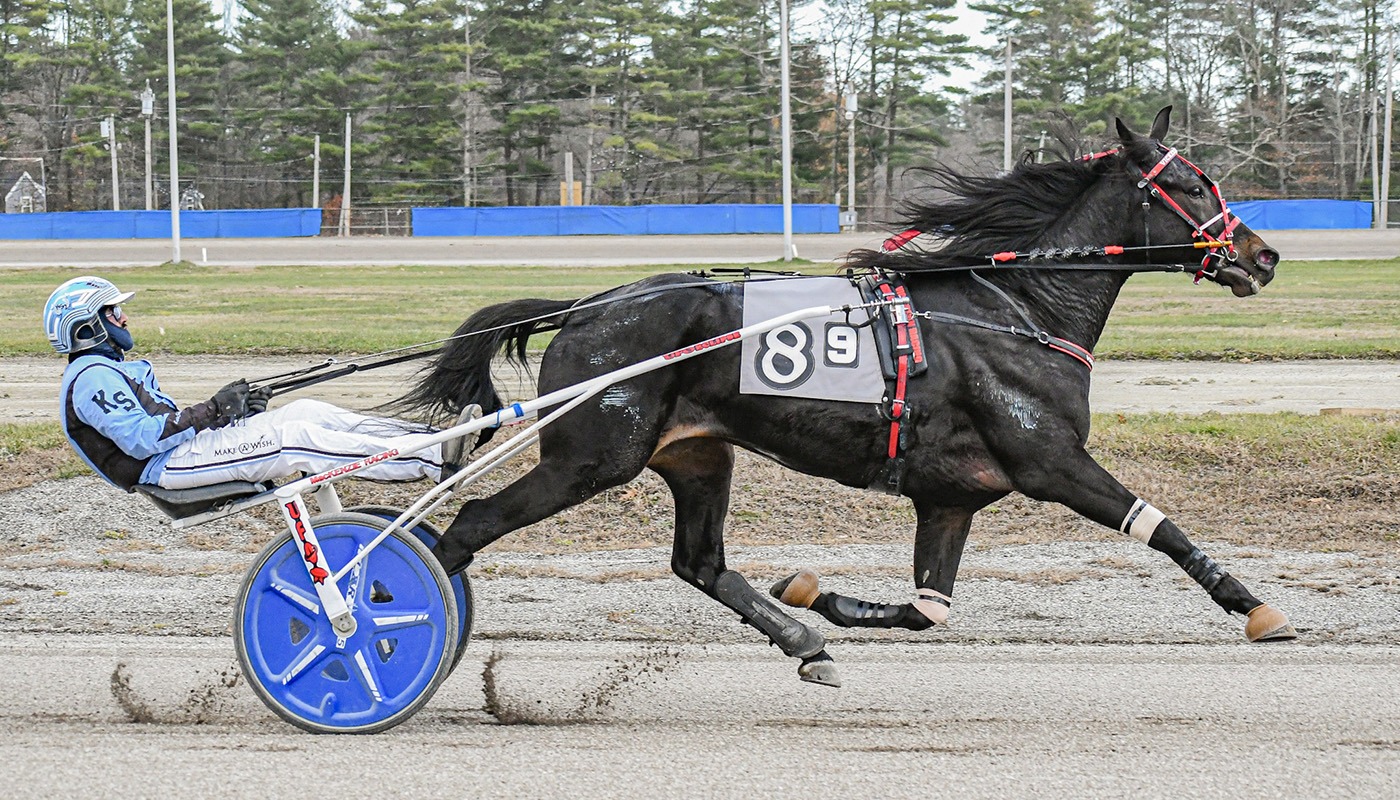 Big Al M does it again at Cumberland – U.S. Trotting News