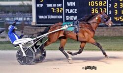 Big Ranger named 2025 Ohio Horse of the Year – U.S. Trotting News