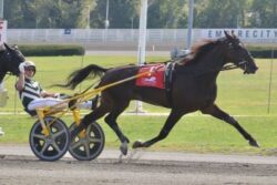 Lexus Kody and the power of sweet memories – U.S. Trotting News