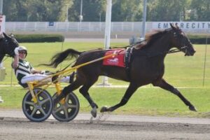 Lexus Kody and the power of sweet memories – U.S. Trotting News