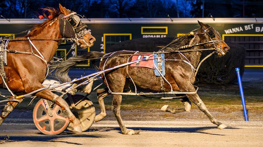 Rocknroll Shelli takes short route to Batavia win – U.S. Trotting News