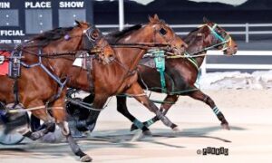 No Foolin April a nose best at Miami Valley – U.S. Trotting News