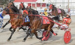 Cumberland qualifiers set for Sunday – U.S. Trotting News