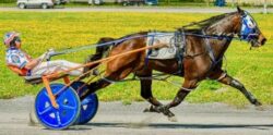 Cool Man Dude, McGwire Sowers score Bangor Raceway triples – U.S ...