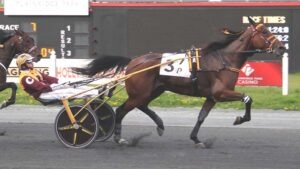 Five-bagger pushes Cushing to 1,500 career wins – U.S. Trotting News