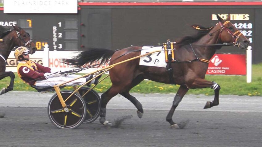 Five-bagger pushes Cushing to 1,500 career wins – U.S. Trotting News