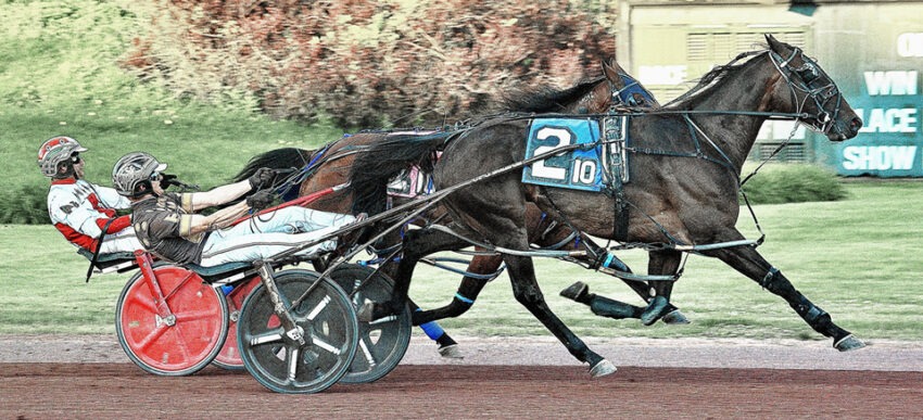 Art Of Revenge, Pepe Lou Pew the best in Pocono features – U.S ...