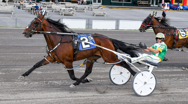 Gregory grabs Open Pace at Vernon – U.S. Trotting News